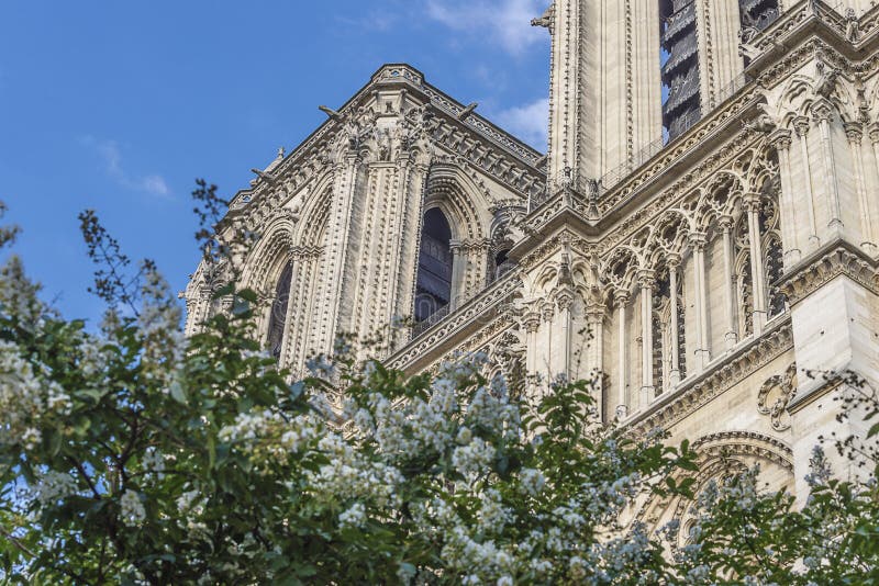 Notre Dame De Paris Cathedral Close Up Stock Image - Image of paris ...