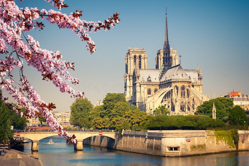 Notre Dame De Paris at Spring Stock Photo - Image of european, gothic ...