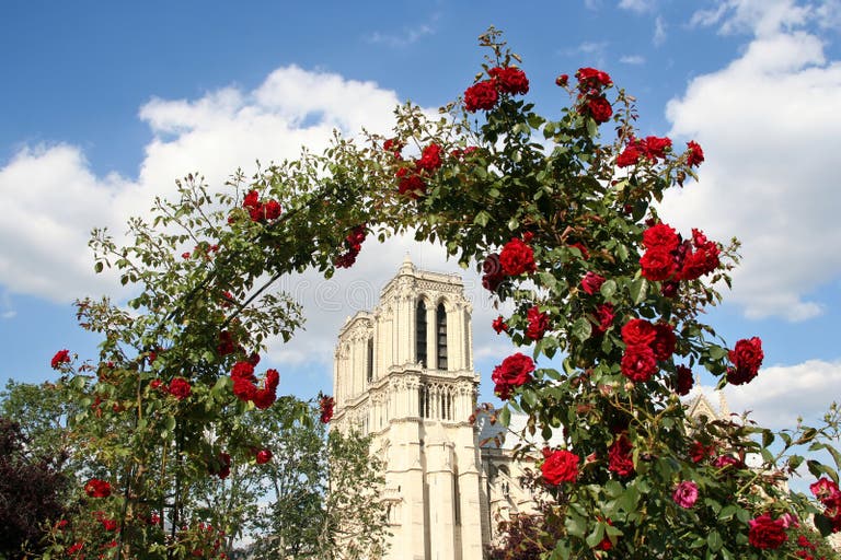 Notre Dame with Roses stock photo. Image of clouds, tourism - 2620682