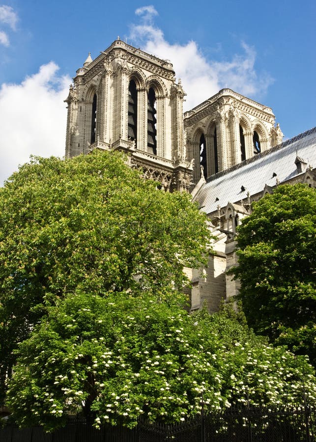 Notre Dame in the Spring stock photo. Image of travel - 26014102