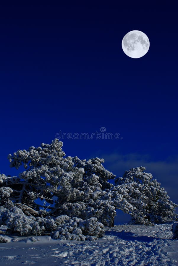 Notte Di Luce Della Luna Nelle Montagne Di Altai Fotografia Stock ...