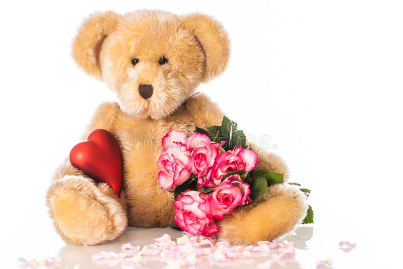 Ours en peluche et roses image stock. Image du isolement - 15264585