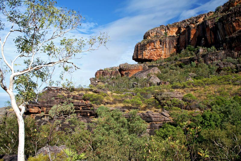 Dripstone Cliffs, Casuarina Beach, Darwin Stock Image - Image of rock ...