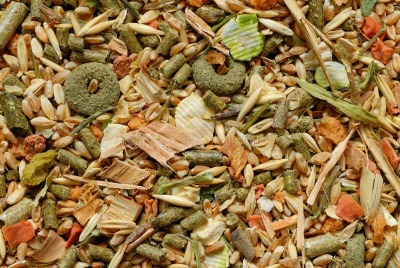 Nourriture Pour Des Rongeurs Photo stock - Image du manger, graines ...