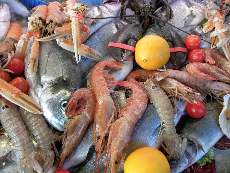 Nourriture pour poissons image stock. Image du graisseux - 54287011