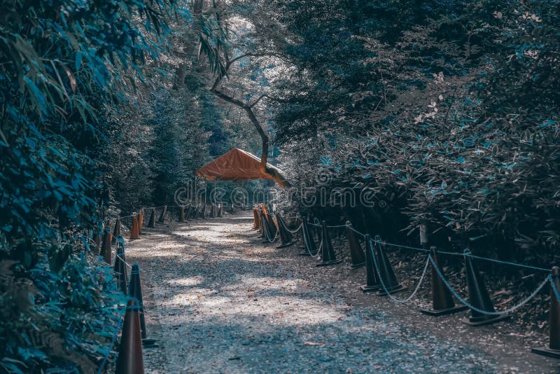 A Landscape with Pathway through the Wood, Nov 29 2023 Editorial Stock ...