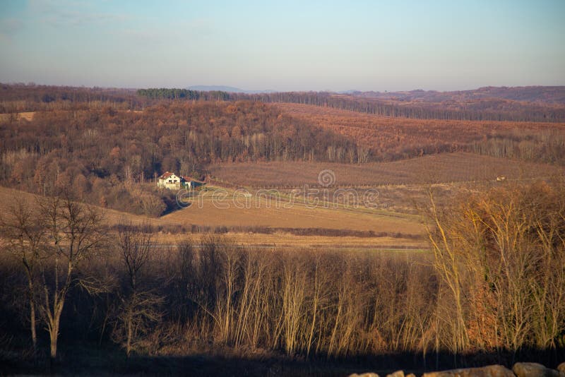 Fields in Cernik, Croatia stock image. Image of field - 214155795