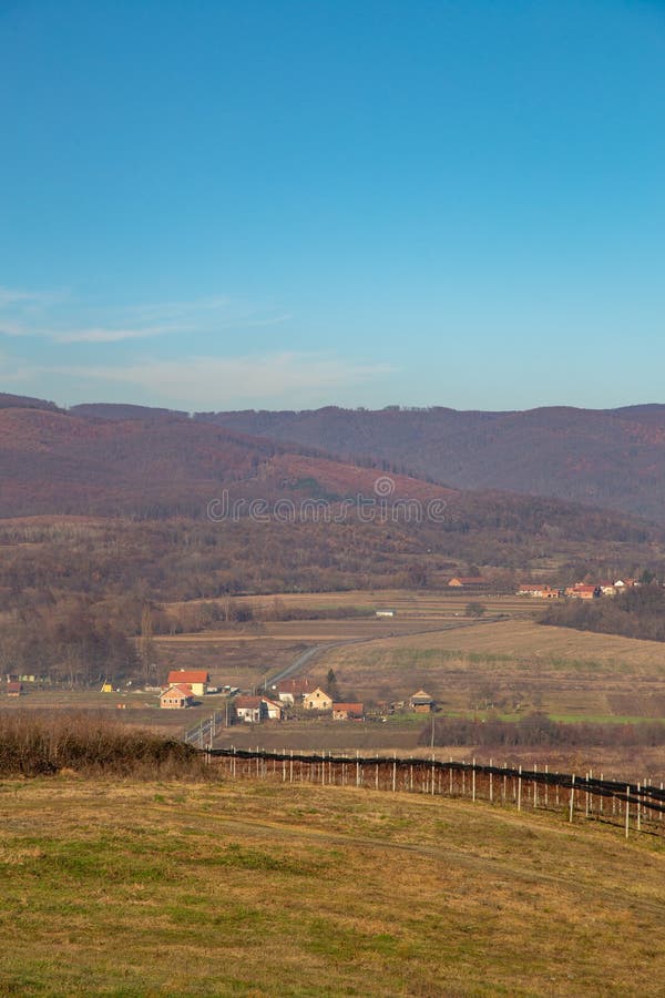 Fields and Hills in Cernik, Croatia Stock Image - Image of cernik ...