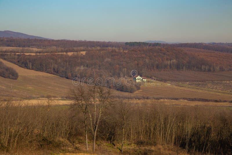 Landscape in Cernik, Croatia Stock Image - Image of nova, woods: 214155805
