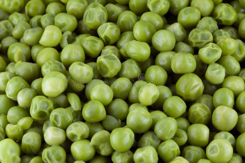 Novel protein Food stock photo. Image of novel, small - 34634934