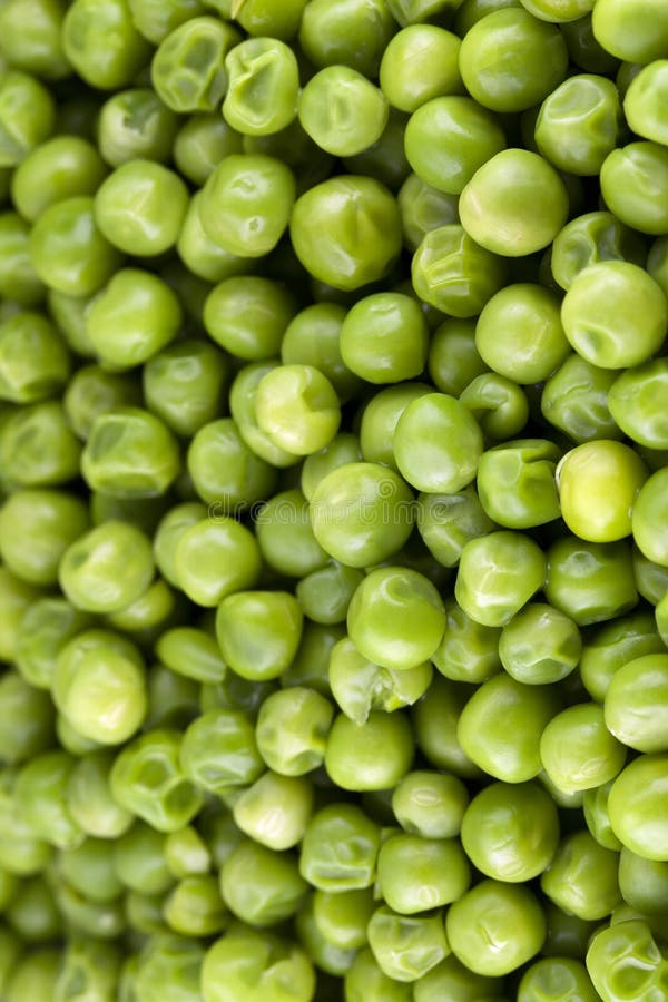 Novel peas bio stock photo. Image of flower, foods, novel - 126918942
