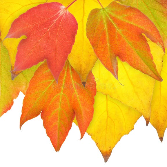 15,628 November Farming Stock Photos - Free & Royalty-Free Stock Photos ...