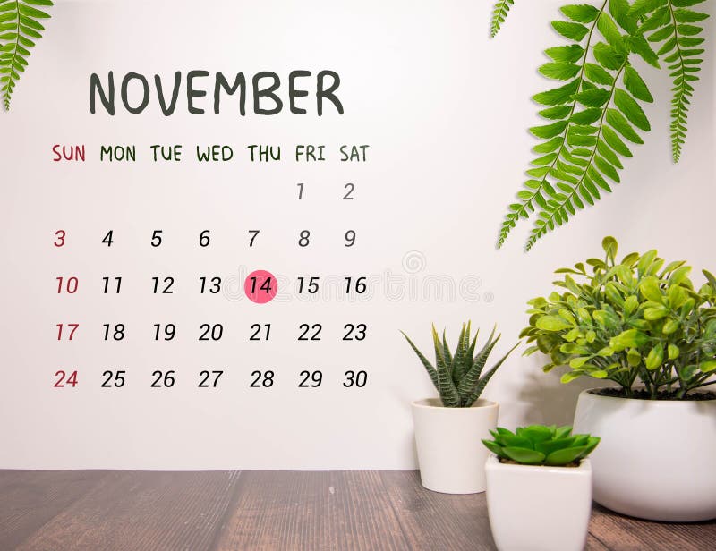 November 14. Date of November Month Stock Photo - Image of symbol ...