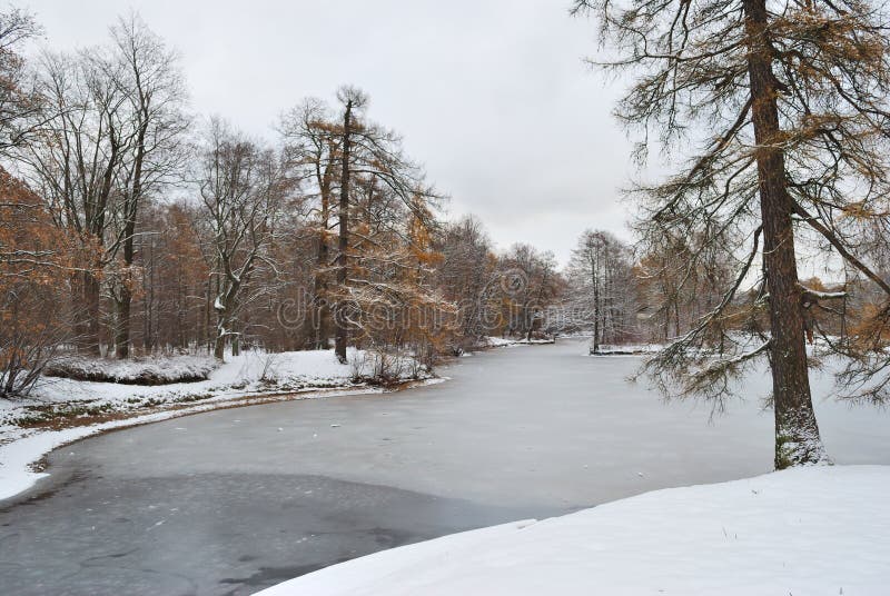 November. First Snow stock photo. Image of park, trees - 34831434