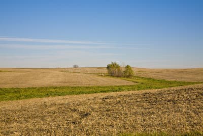 November Illinois Fields stock photo. Image of cleared - 3598296