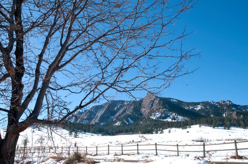 November landscape stock image. Image of tree, sunny - 11726641