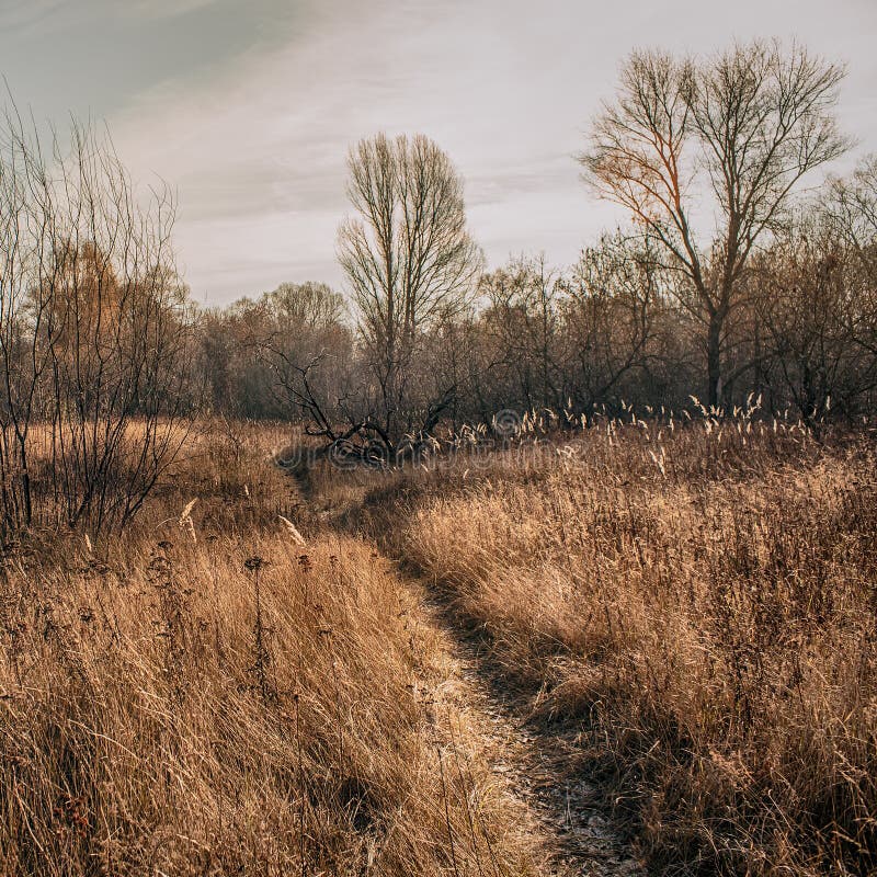 November Landscape. Autumn Morning With Colorful Trees And Hoarfrost On ...