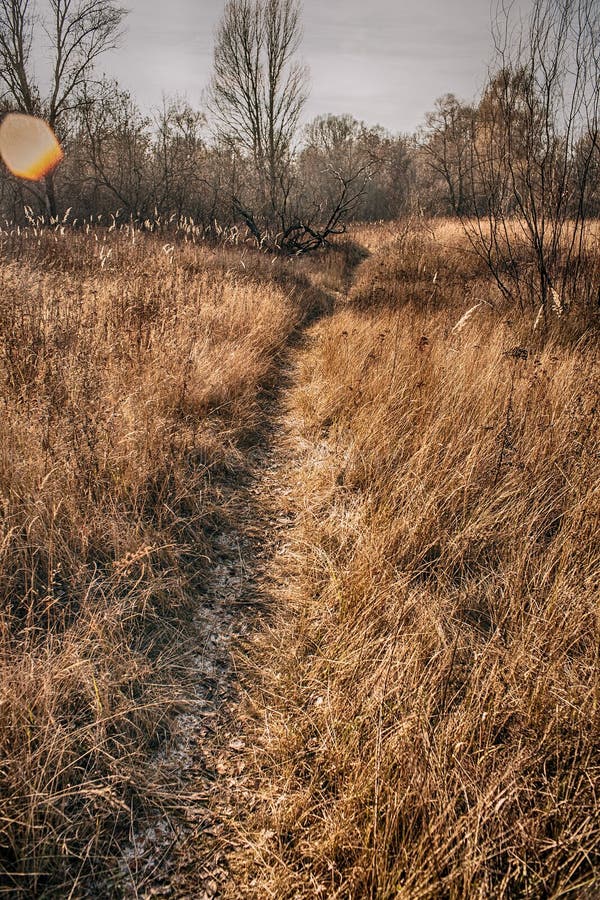 November landscape stock image. Image of season, pale - 46360167