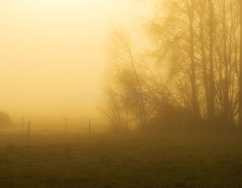 938,159 November Photos - Free & Royalty-Free Stock Photos from Dreamstime