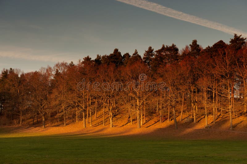 November morning stock image. Image of light, twilight - 26576851