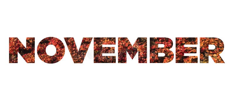 1,236,169 November Stock Photos - Free & Royalty-Free Stock Photos from ...