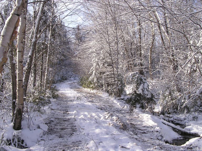 November snow falls stock image. Image of cold, canada, mountains - 45671