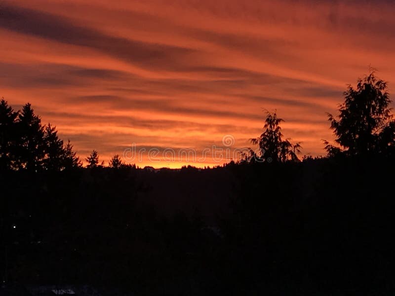 November Sunrise in the City Park Stock Photo - Image of leaves ...