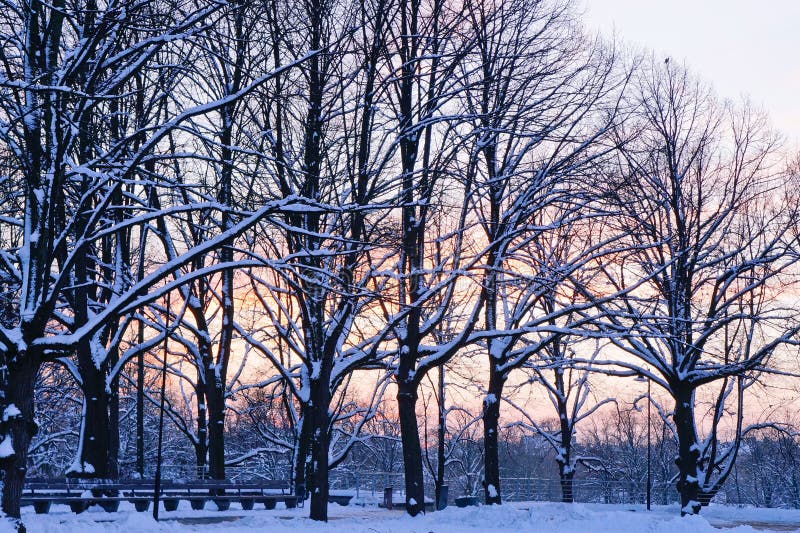 November Sunset in the City Park Stock Image - Image of forest, snow ...