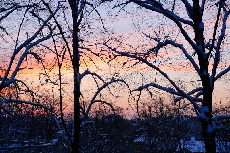 November Sunset in the City Stock Photo - Image of forest, light: 80366532