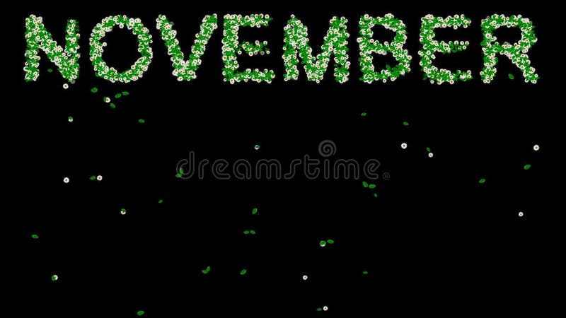 November Text with Green Leaves and White Daisy Flowers on Plain Black ...