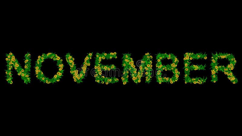 November Text with Green Leaves and Yellow Daisy Flowers on Plain Black ...