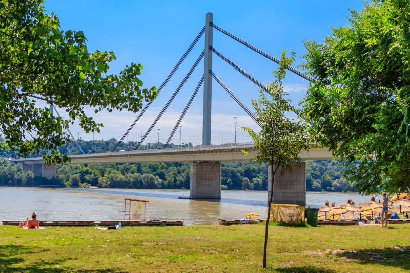 Liberty Bridge a Cable-stayed Bridge on the Danube River in Novi Sad ...