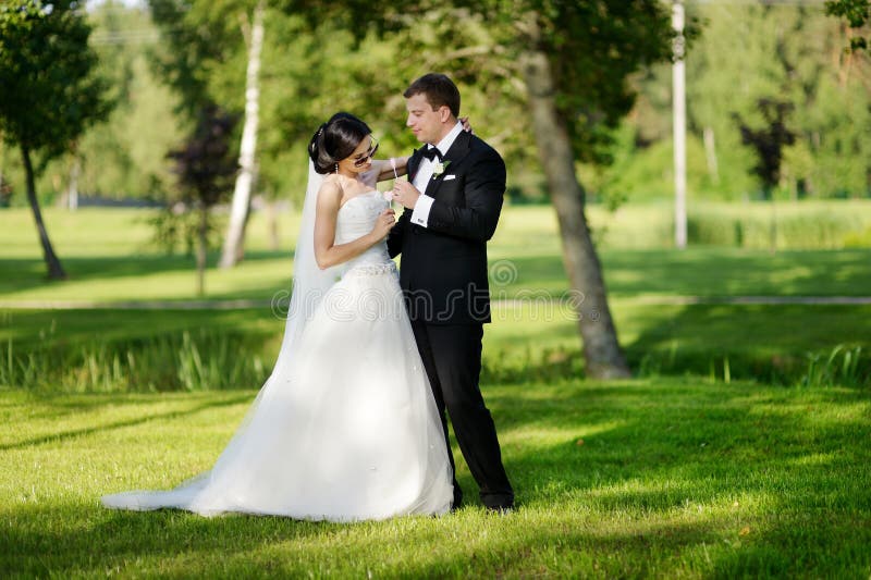 Novia y novio hermosos imagen de archivo. Imagen de beso - 30191523