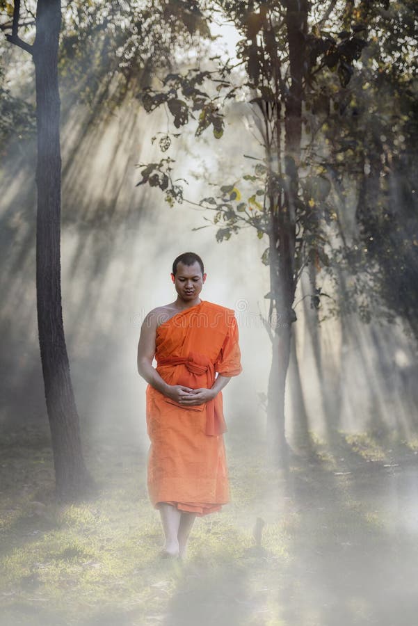 Novice monk stock image. Image of novice, boys, buddha - 92248119