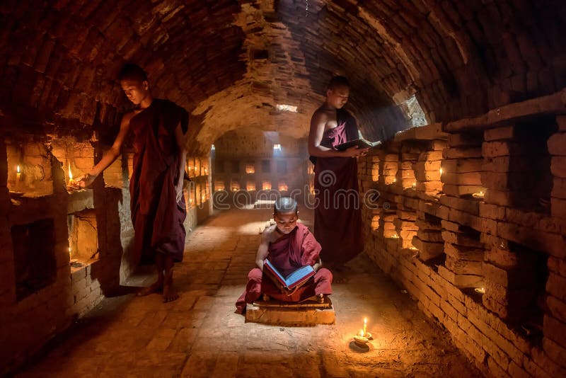 Novice monk reading book stock image. Image of male - 168762613