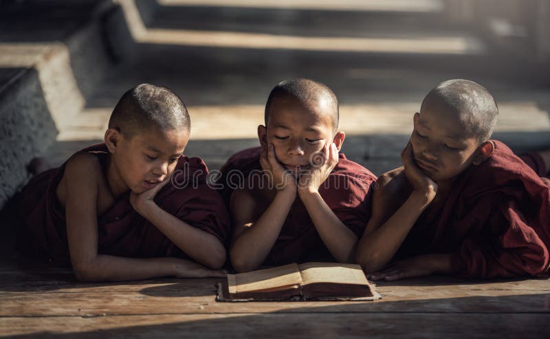 Novice monk reading book stock photo. Image of burmese - 70005030