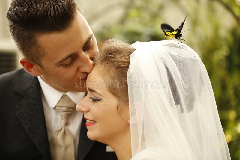 Novio que besa a su novia foto de archivo. Imagen de mano - 88971338