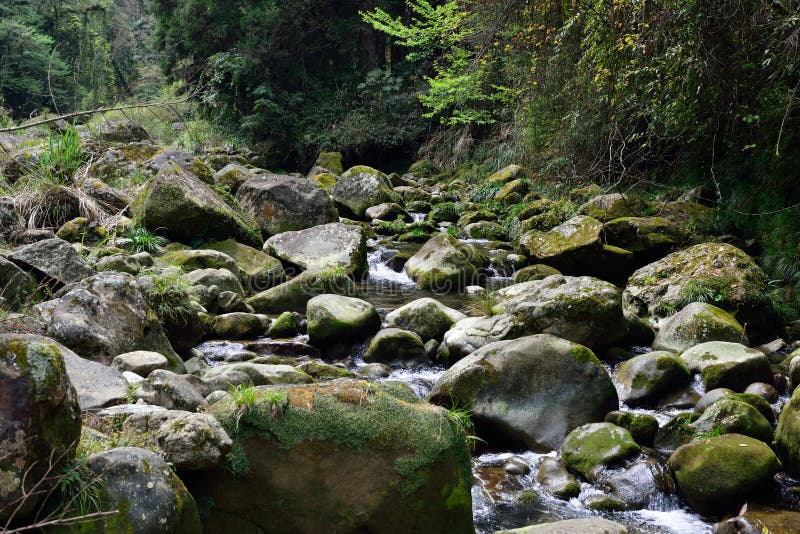Now this River is Moving Fast ! Stock Image - Image of lough, forest ...