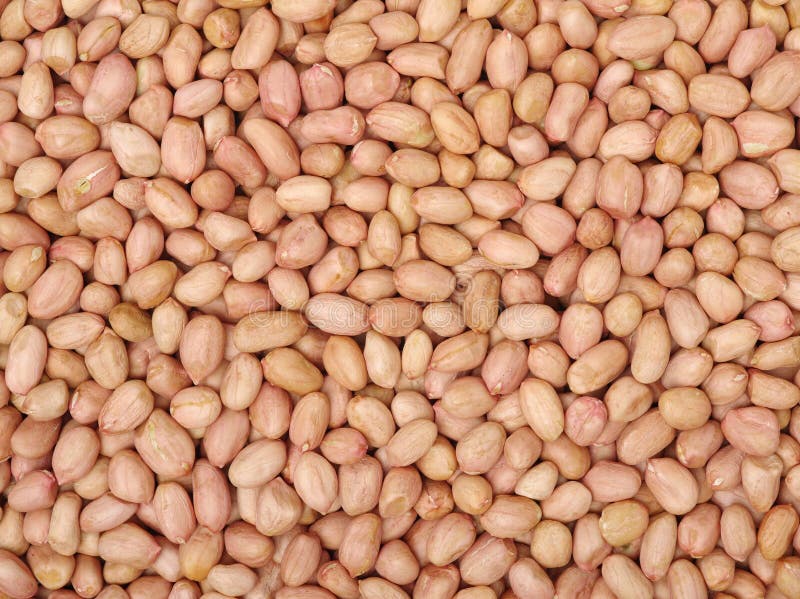 Grains d'arachide image stock. Image du fond, ingrédient - 27630729