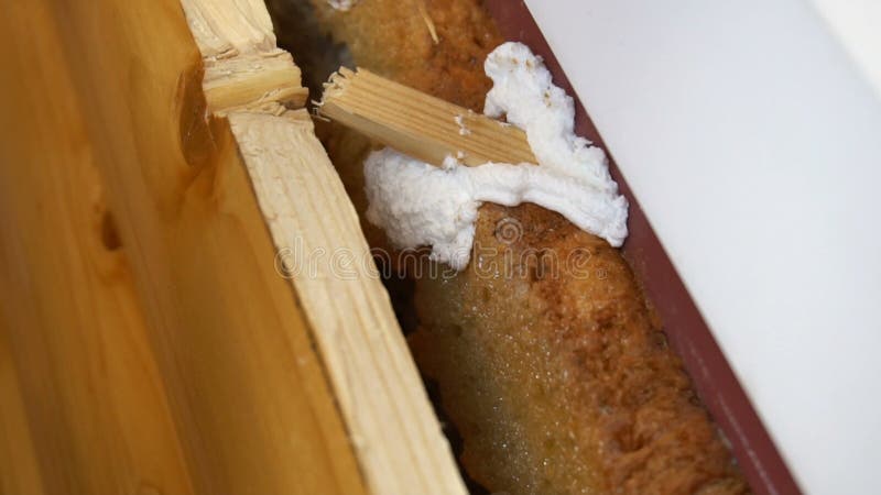 Nozzle of Construction Gun Fills Space Under Window Frame by ...