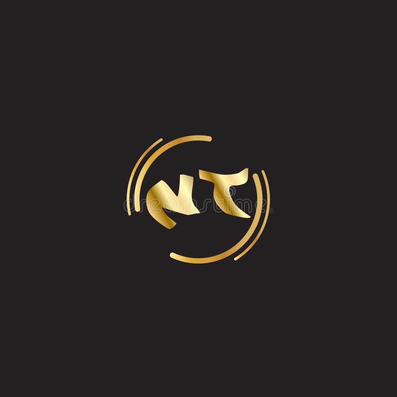 NT Text Logo Design stock vector. Illustration of presentation - 262486614