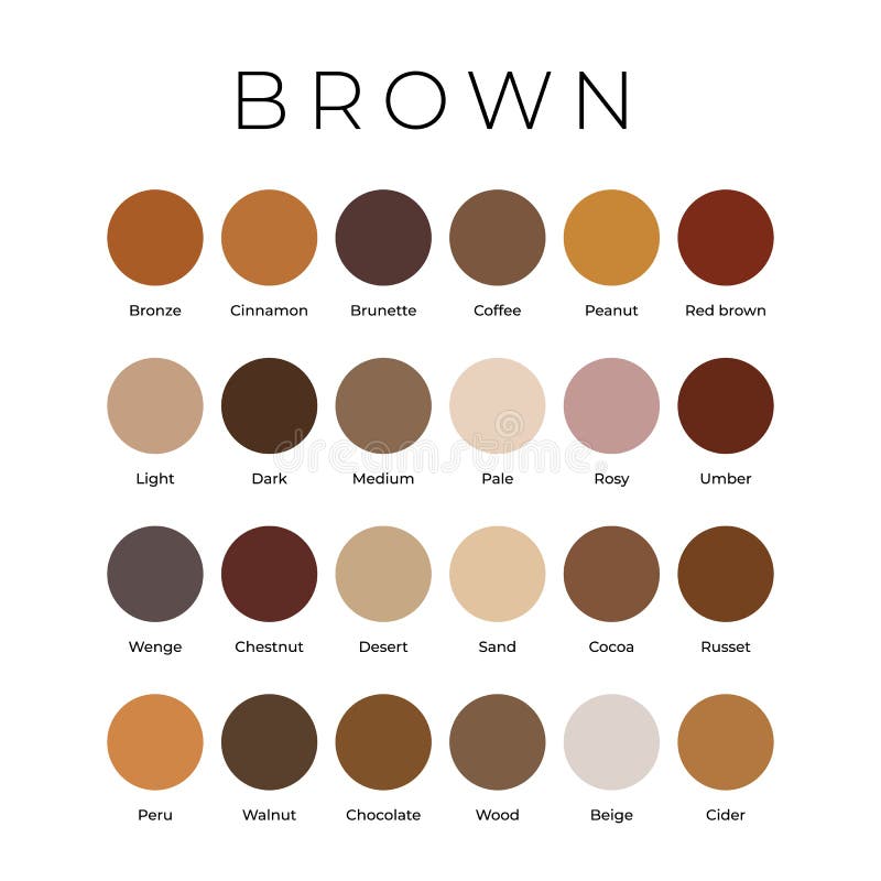 Nuances De Couleur Marron Nuances Palette Avec Noms Illustration de ...