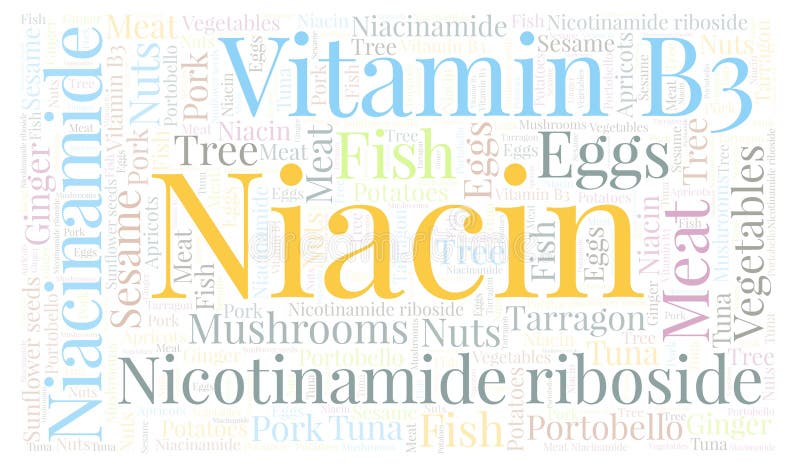 Nube Horizontal De La Palabra De La Niacina Stock de ilustración ...
