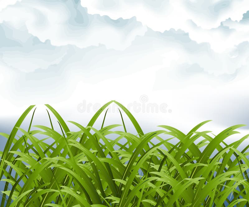 Nube Verde Del Prado Y De Tormenta Ilustración del Vector - Ilustración ...