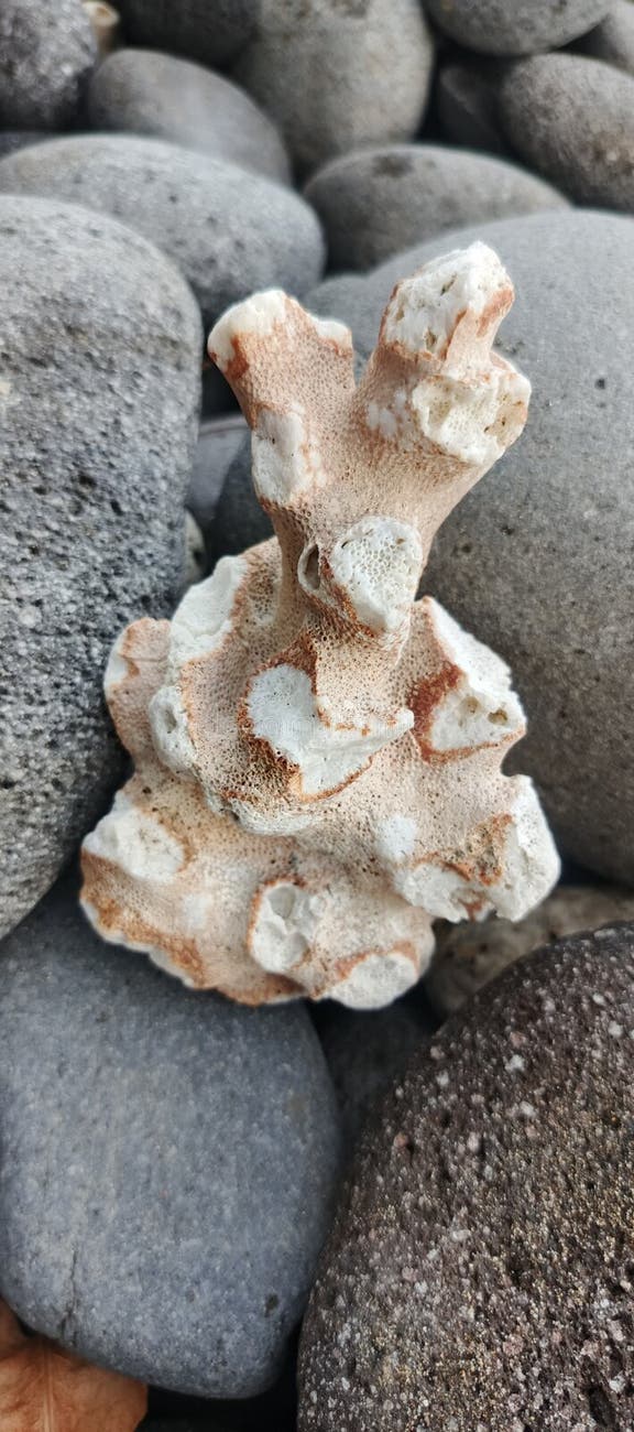 Nuca molas island stock photo. Image of nuca, wave, ocean - 369823658