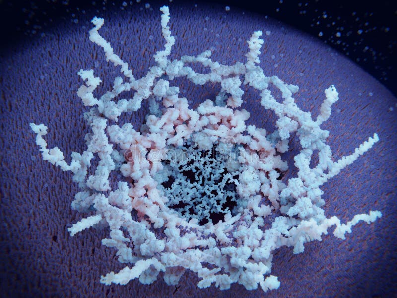 Nuclear pore complex stock image. Image of transport - 252584607