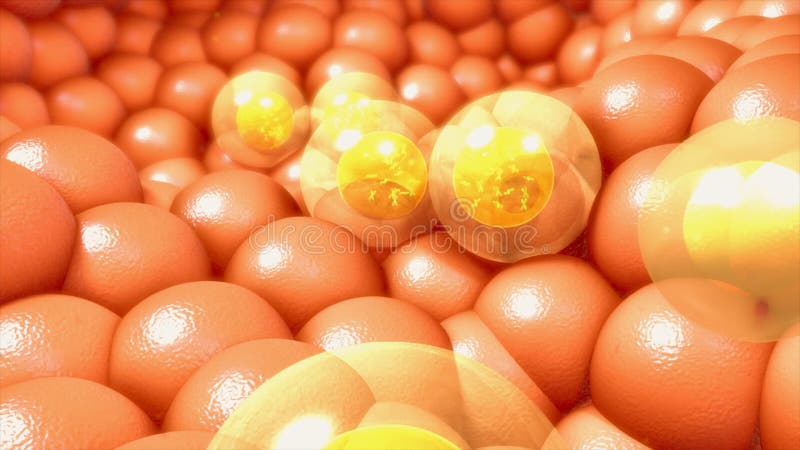 The Nucleus Is A Membrane Enclosed Organelle Found In Nearly All Eukaryotic Cell Types Stock