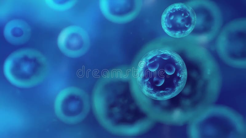 From the Nucleus To the Membrane: the Inner Space of the Cell and Its ...