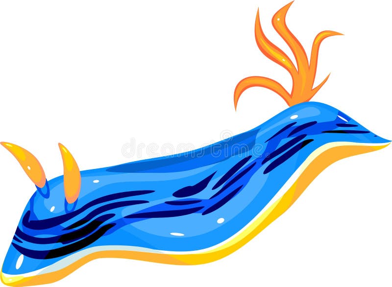 Duine Neirbhíseach Clip Art Nudibranch Stock Illustrations – 643