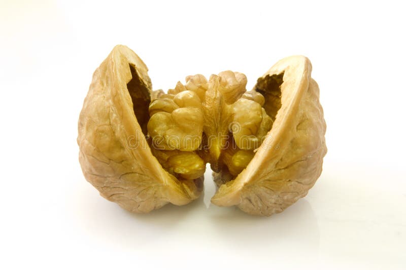 Nuez foto de archivo. Imagen de aplastar, ingrediente - 10220784